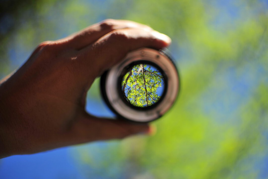 Articulating a Clear Statement of Purpose - The Center to Advance ...